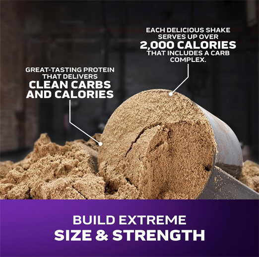 GYM Supplements Center Bangladesh